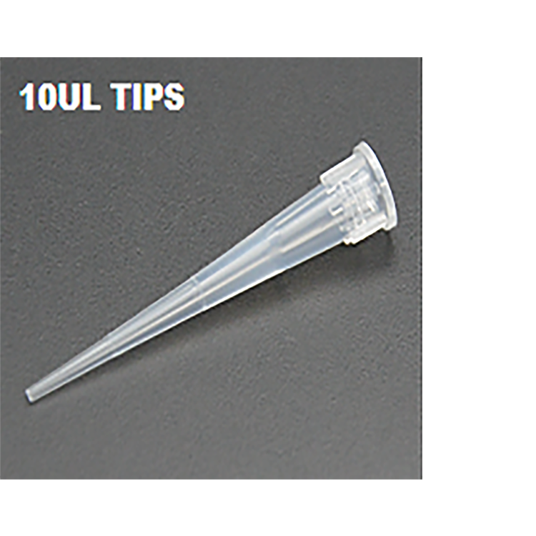 REFILL PIPTTE TIPS - 10UL TIPS : (주)시너진