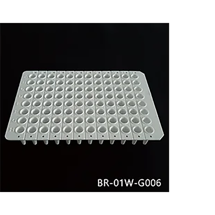 96 WELL PLATES - BIO-RAD type Plates - BR-01W-G006 : (주)시너진