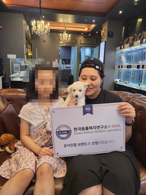 진도믹스 복돌이 엑조틱크기 터키시앙고라크기 페르시안크기 하이랜드폴드크기 애완견크기 반려견크기 소형견무료입양사이트 중형견무료입양사이트 대형견무료입양사이트 미니비숑프리제무료입양