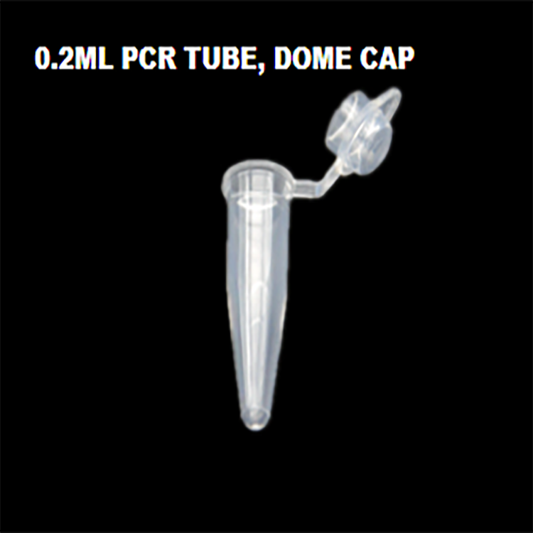 0.2ML PCR TUBE, DOME CAP - GPCR021 : (주)시너진