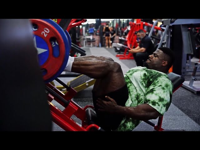 앤드류 잭드 대퇴사두 이두 Andrew Jacked Quads Biceps : 프로 훈련법 - 제로투히어로