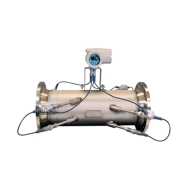 PANAMETRICS SENTINEL LNG 극저온 유체용 초음파유량계 : 지니어스인더스트리 - 대한민국 No.1 산업장비 공급채널