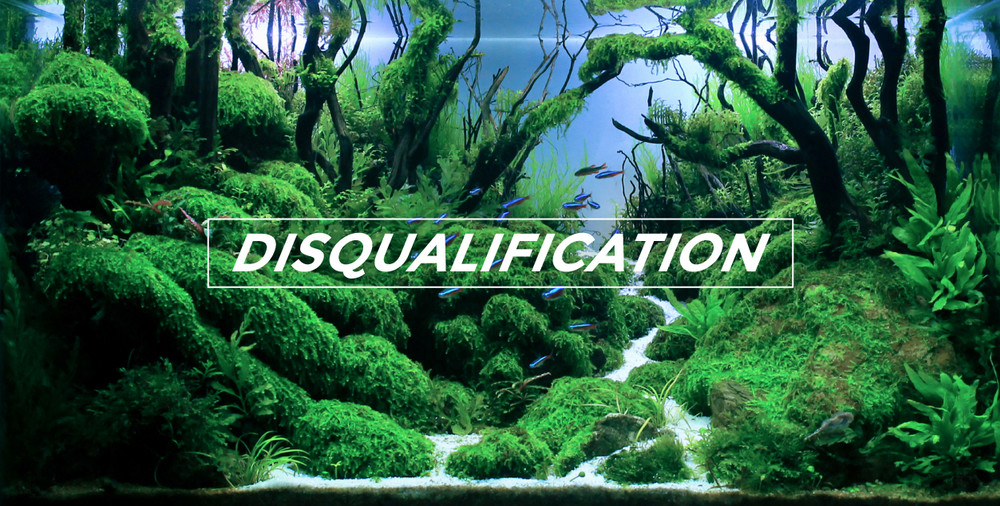 2023 KIAC Disqualification Works