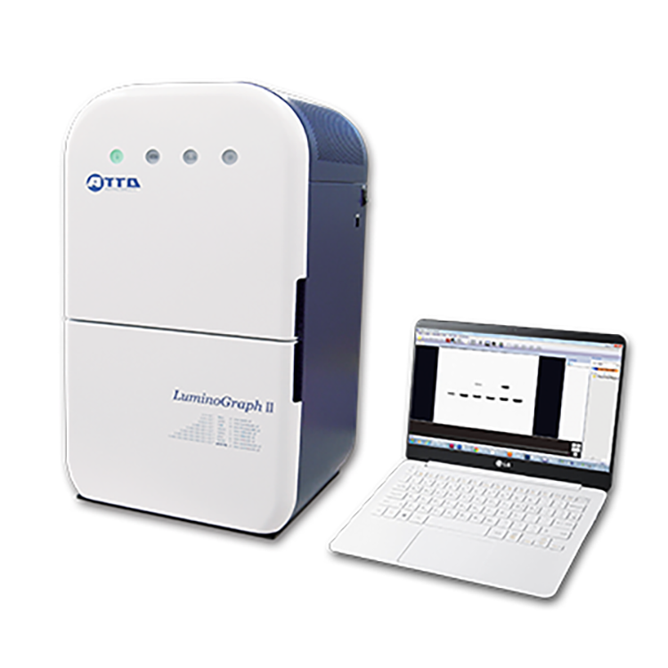 시너진 제품 정보 Atto 2006201