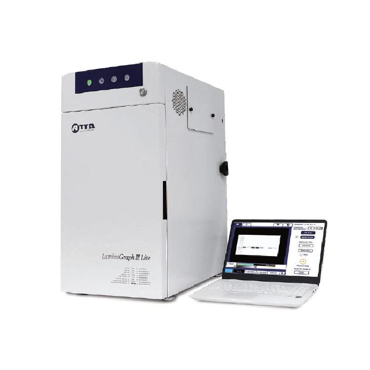 시너진 제품 정보 Atto 2006375