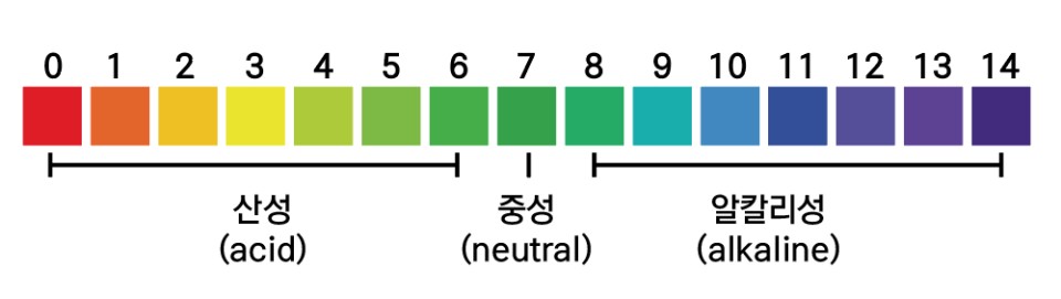 건강한 피부의 조건, 왜 Ph 5.5를 유지해야 하나? : OPSKIN x ZaCha x TEEN