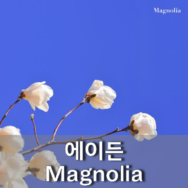 Aden - Magnolia [TAB + Chord] : clefguitarC