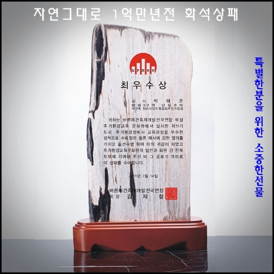 화석상패 AA222 : 상패-감사패- 커스텀 상패 트로피