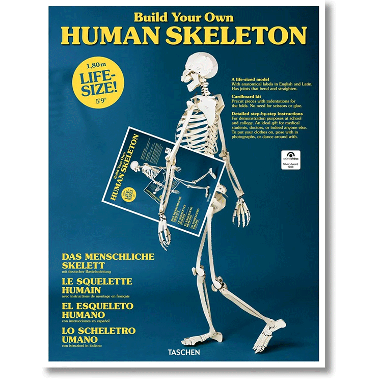Build Your Own Human Skeleton (Print Set) : 어바웃아트 ABOUTART