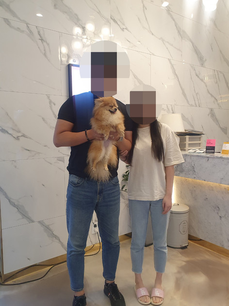 포메라니안 라떼 청주고양이무료분양 동탄고양이무료분양 위례고양이무료분양 청라고양이무료분양 부천고양이무료분양 원주고양이무료분양 광주고양이무료분양 부산고양이무료분양 대구고양이무료