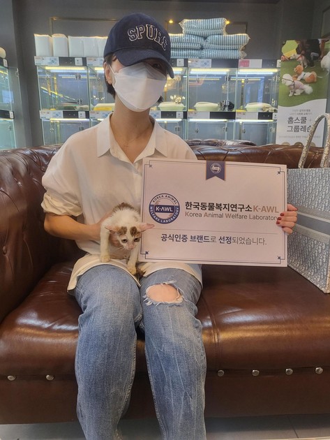 코리안숏헤어 몬스 샴입양 셀커크렉스입양 스코티쉬폴드입양 스핑크스입양 아메리칸숏헤어입양 아비시니안입양 터키시앙고라입양 페르시안입양 애완견입양 반려견입양 털빠짐없는소형견종류