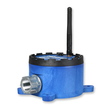 BB-WSD2C06010 : IAT