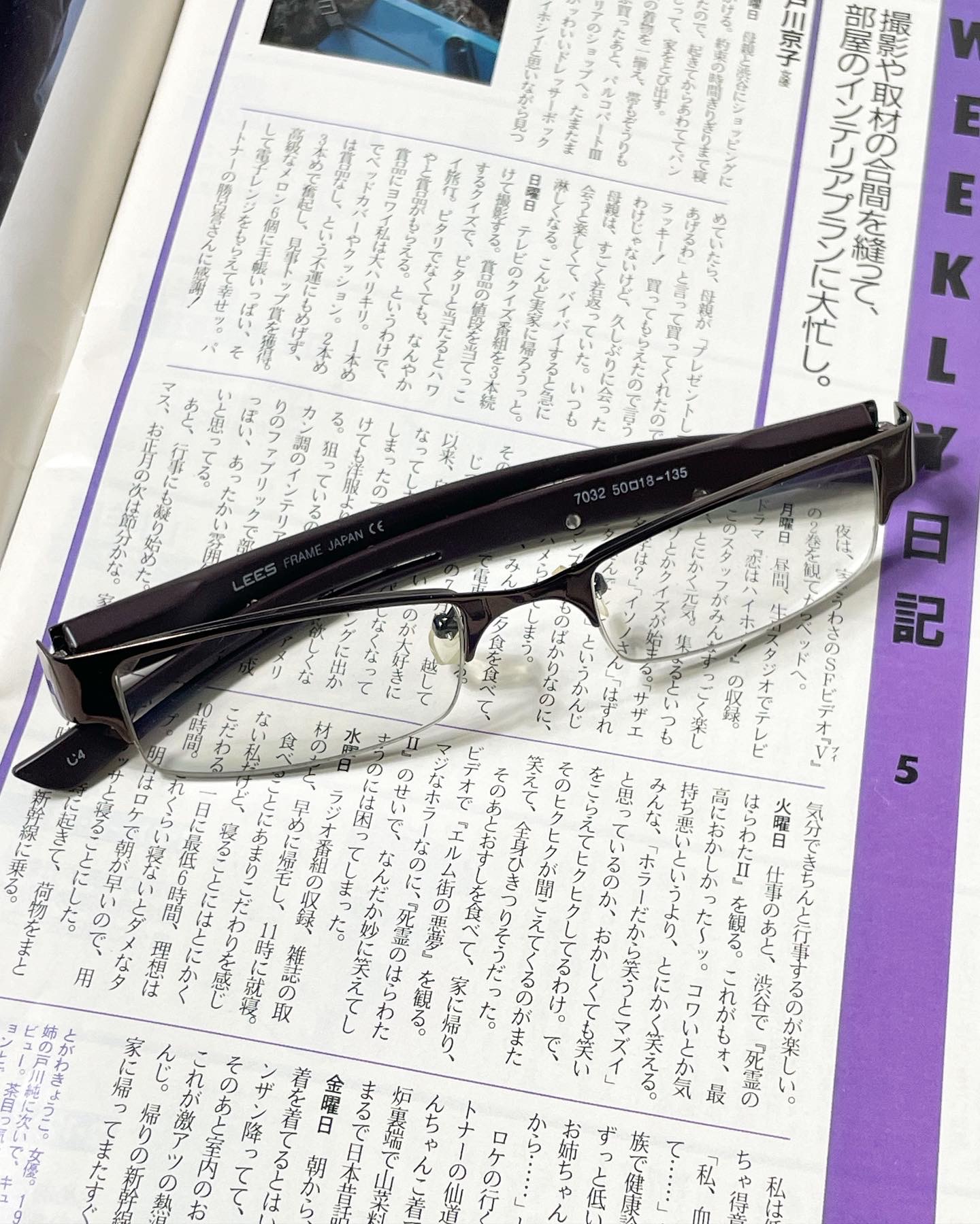 90s Lees Half-Rimmed Glasses (made in Japan) : Share the vibe