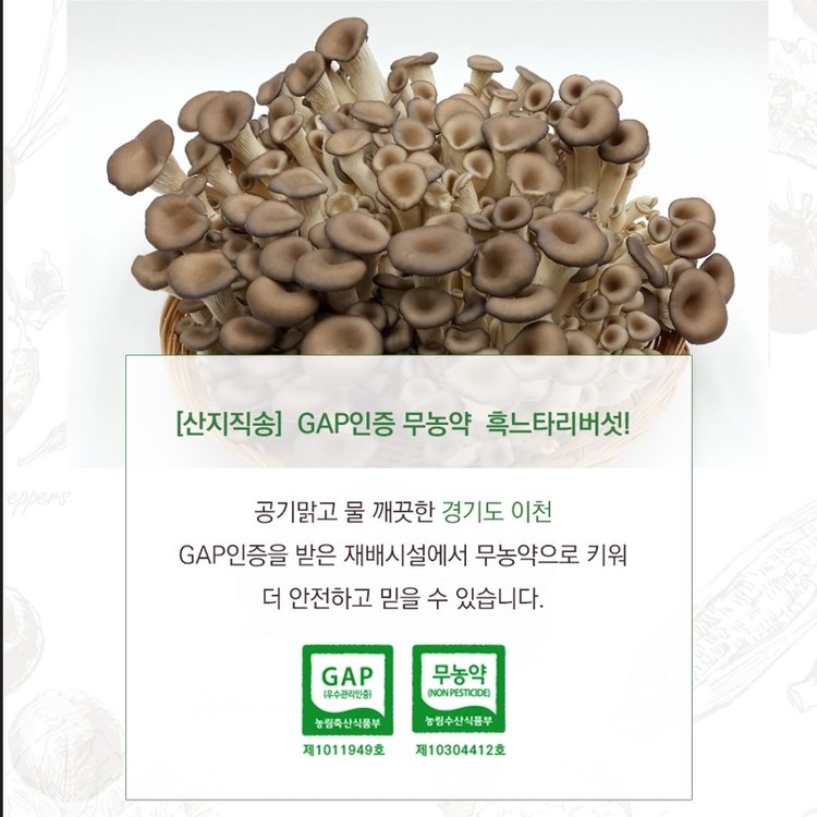 GAP 무농약 느타리버섯 2kg 대용량 무료배송