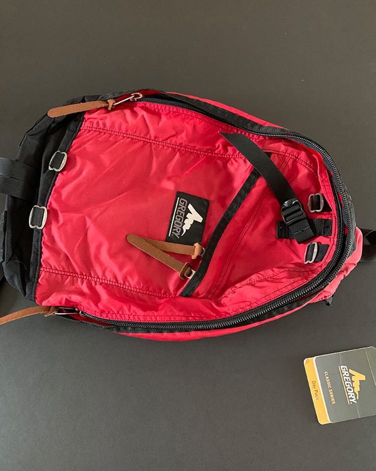GREGORY USA Classic Daypack : lilisun