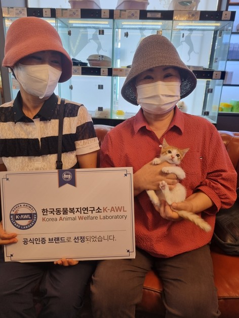 코리안숏헤어 푸틴 래브라도리트리버입양 닥스훈트입양 도베르만입양 말티치입양 말티폼입양 빠삐용입양 사모예드입양 스피츠입양 시바견입양 시베리안허스키입양 시츄입양 요크셔테리어입양