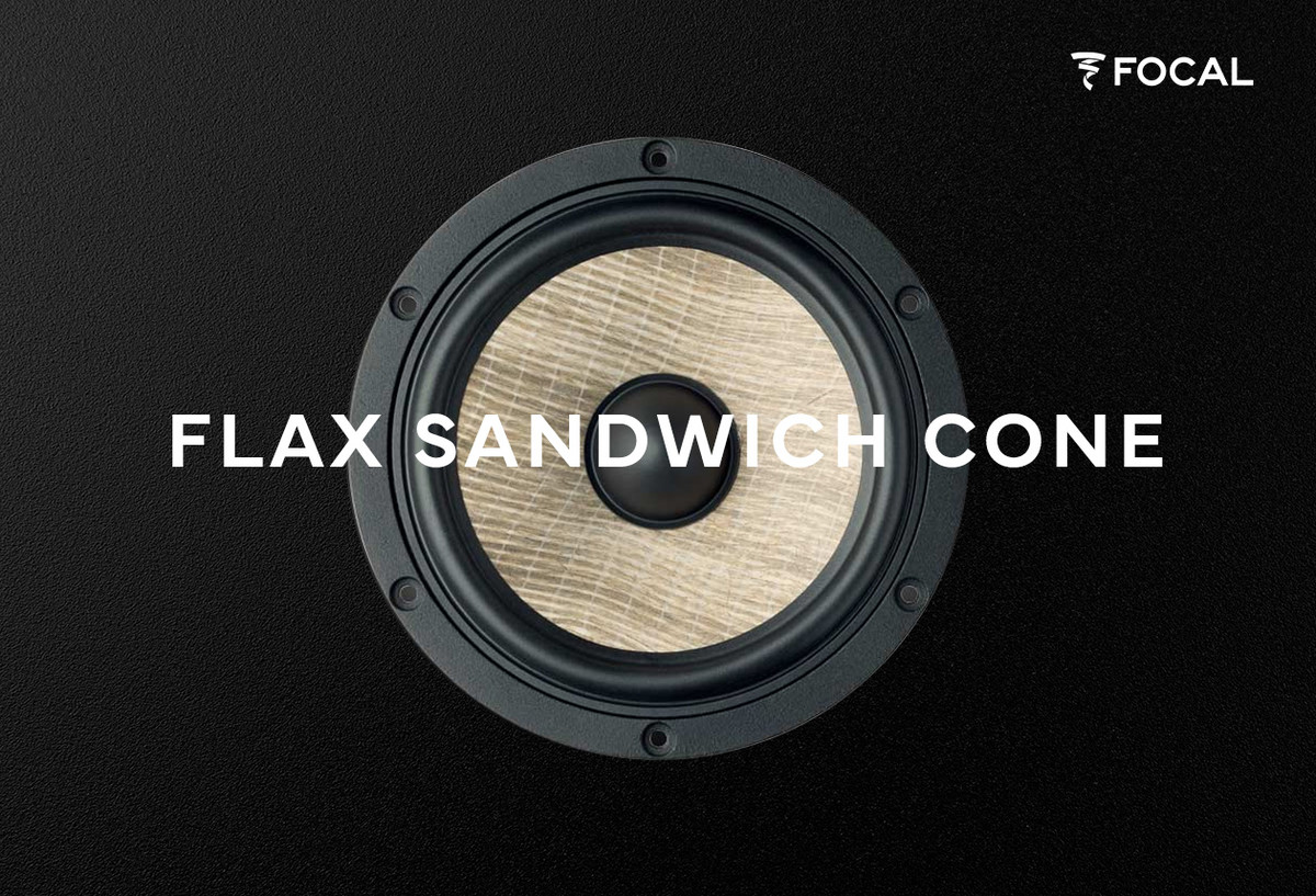 [FOCAL] FLAX SANDWICH CONE : BLS : 프로모션과 공지사항