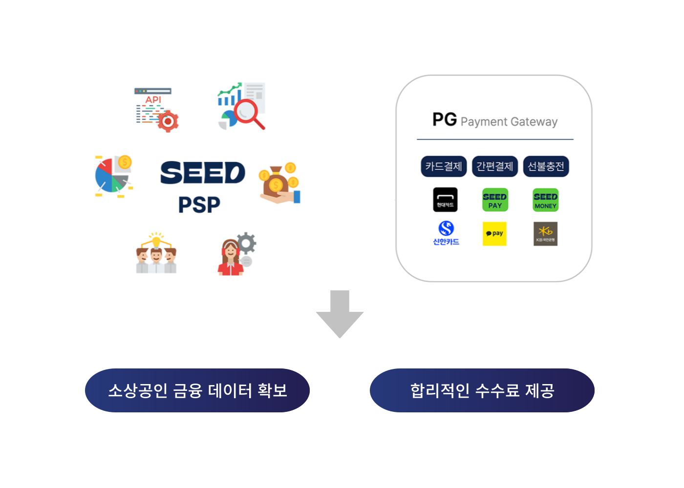 SEED