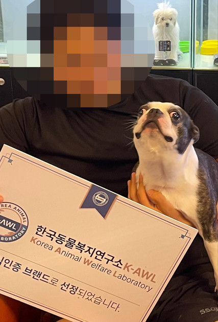 보스턴테리어 망치 유기묘무료입양사이트 비숑프리제파양 포메라니안파양 말티즈파양 말티푸파양 푸들파양 먼치킨파양 랙돌파양 브리티쉬숏헤어파양 스코티쉬폴드파양 러시안블루파양 강아지