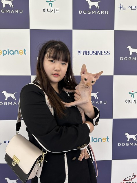 스핑크스 멍탱 폼스키크기 폼치크기 폼피츠크기 푸숑크기 노르웨이숲크기 데본렉스크기 뱅갈크기 샴크기 셀커크렉스크기 스핑크스크기