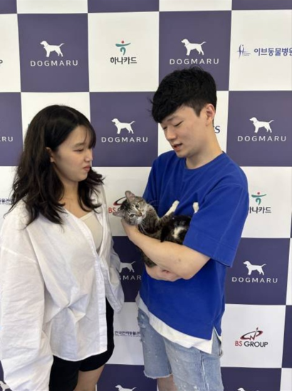 코리안숏헤어 쁘니 엑조틱크기 터키시앙고라크기 페르시안크기 하이랜드폴드크기 애완견크기 반려견크기 소형견무료입양사이트 중형견무료입양사이트 대형견무료입양사이트 미니비숑프리제무료