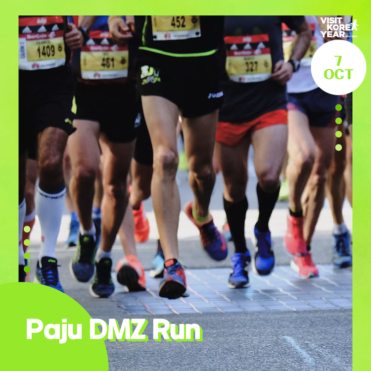 PAJU DMZ RUN : Korea Tour Planner