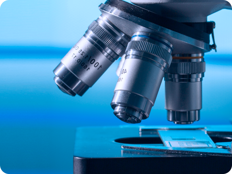 여기에는 제목이 들어갑니다. : CUREVERSE