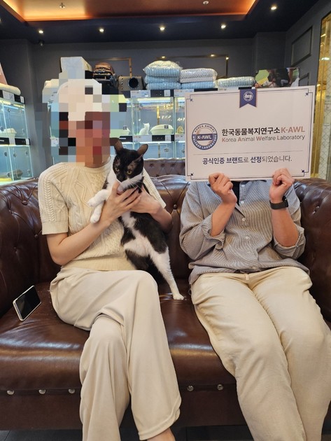 코리안숏헤어 꼬봉 프렌치불독크기 빠삐용크기 파피용크기 사모예드크기 스피츠크기 시바견크기 시베리안허스키크기 시츄크기 요크셔테리어크기 웰시코기크기 이탈리아그레이하운드크기 치와와