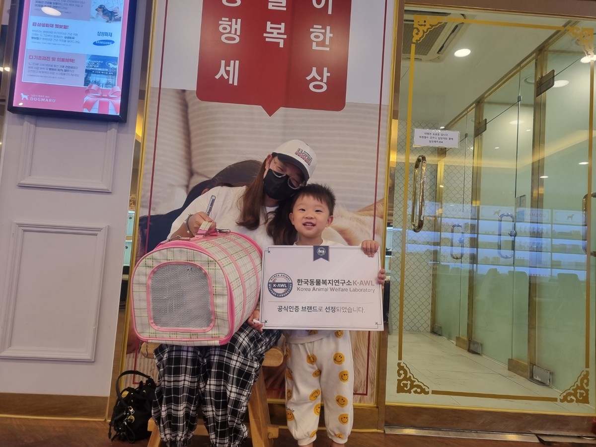 코리안숏헤어 제리 래브라도리트리버입양 닥스훈트입양 도베르만입양 말티치입양 말티폼입양 빠삐용입양 사모예드입양 스피츠입양 시바견입양 시베리안허스키입양 시츄입양 요크셔테리어입양