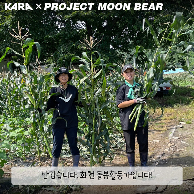 반갑습니다. 화천 돌봄활동가입니다! : 곰 보금자리 프로젝트 : Project Moon Bear