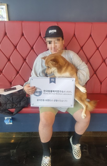 믹스견 콩이 대형견책임분양 미니비숑프리제책임분양 토이푸들책임분양 골든리트리버책임분양 래브라도리트리버책임분양 닥스훈트책임분양 도베르만책임분양 말티치책임분양 말티폼책임분양 보더