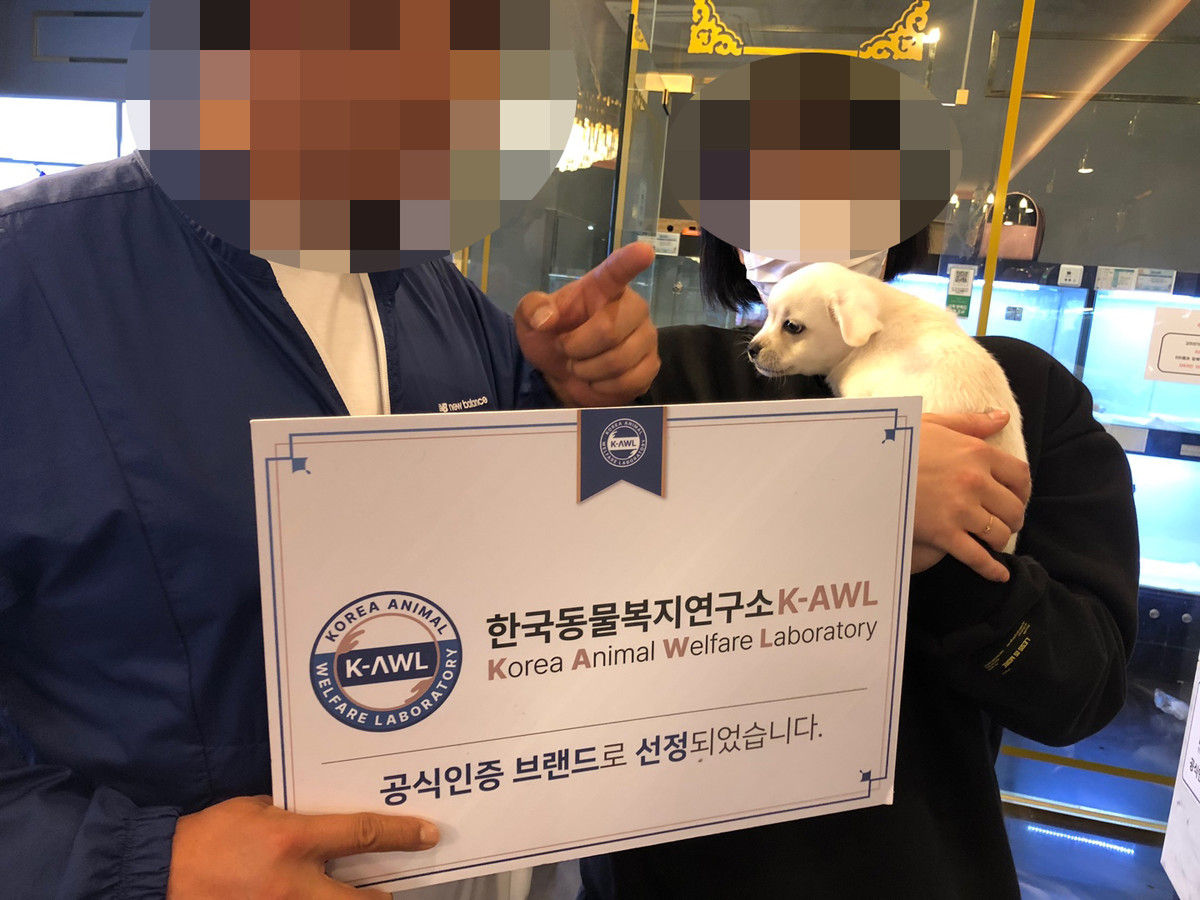 믹스견 버터 폼스키크기 폼치크기 폼피츠크기 푸숑크기 노르웨이숲크기 데본렉스크기 뱅갈크기 샴크기 셀커크렉스크기 스핑크스크기 아메리칸숏헤어크기 아메리칸컬크기 아비시니안크기