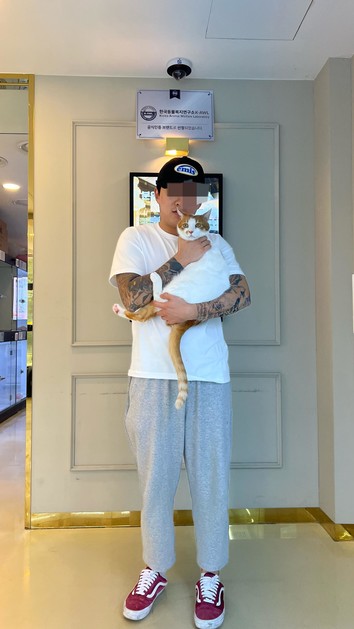 코리안숏헤어 하트 애완견성격 반려견성격 소형견크기 중형견크기 미니비숑프리제크기 토이푸들크기 골든리트리버크기 래브라도리트리버크기 닥스훈트크기 도베르만크기 말티치크기 말티폼크기