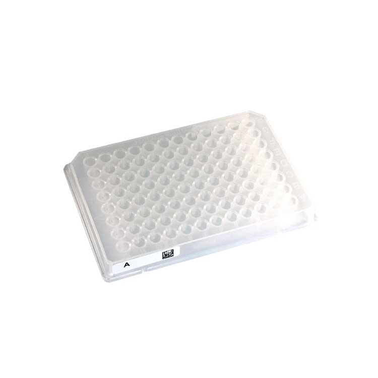 Well Plates