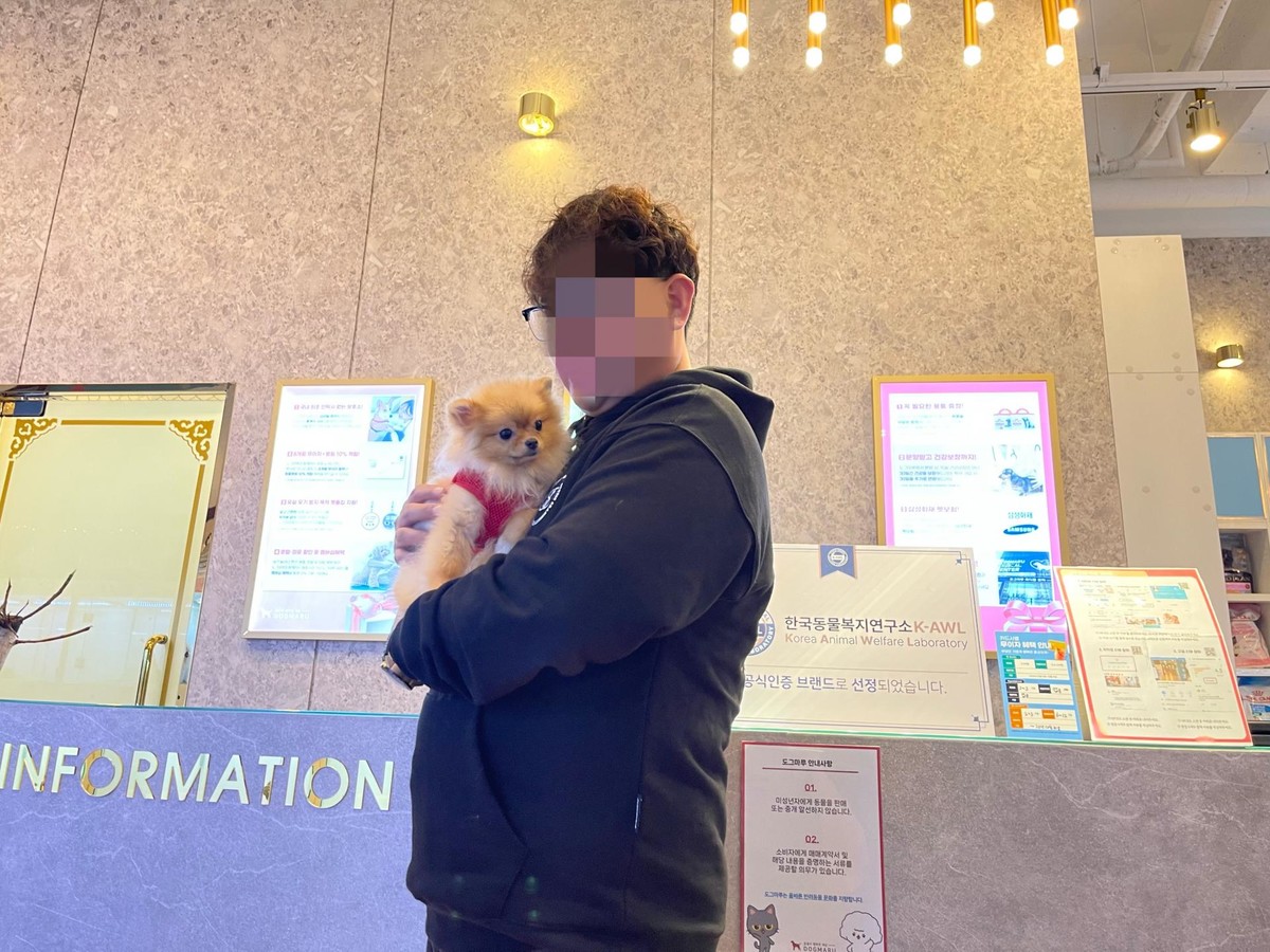 포메라니안 바니 프렌치불독크기 빠삐용크기 파피용크기 사모예드크기 스피츠크기 시바견크기 시베리안허스키크기 시츄크기 요크셔테리어크기