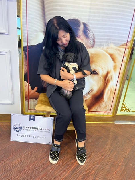 토이푸들 까미 대형견책임분양 미니비숑프리제책임분양 토이푸들책임분양 골든리트리버책임분양 래브라도리트리버책임분양 닥스훈트책임분양 도베르만책임분양 말티치책임분양 말티폼책임분양