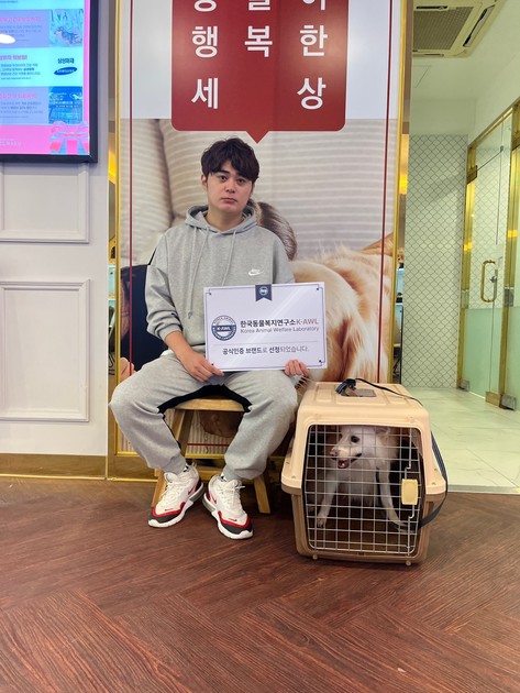 스피츠믹스 복돌이 유기묘무료입양사이트 비숑프리제파양 포메라니안파양 말티즈파양 말티푸파양 푸들파양 먼치킨파양 랙돌파양 브리티쉬숏헤어파양 스코티쉬폴드파양 러시안블루파양 강아지