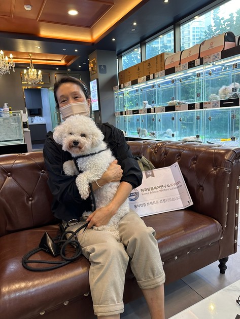 비숑프리제 뽕구 푸숑책임분양 노르웨이숲책임분양 데본렉스책임분양 뱅갈책임분양 샴책임분양 셀커크렉스책임분양 스핑크스책임분양 아메리칸숏헤어책임분양 아메리칸컬책임분양 아비시니안책임