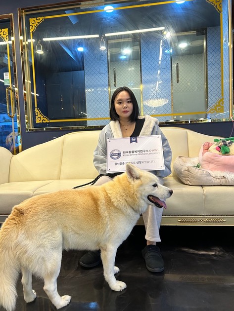 허스키말라뮤트 벨 애완견성격 반려견성격 소형견크기 중형견크기 미니비숑프리제크기 토이푸들크기 골든리트리버크기 래브라도리트리버크기 닥스훈트크기 도베르만크기 말티치크기 말티폼