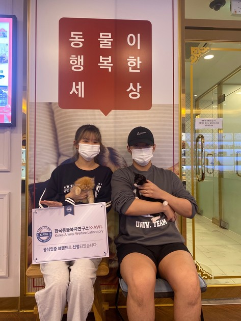 브리티쉬 브리티 샴분양가격 셀커크렉스분양가격 스코티쉬폴드분양가격 스핑크스분양가격 아메리칸숏헤어분양가격 아메리칸컬분양가격 아비시니안분양가격 엑조틱분양가격 터키시앙고라분양가격