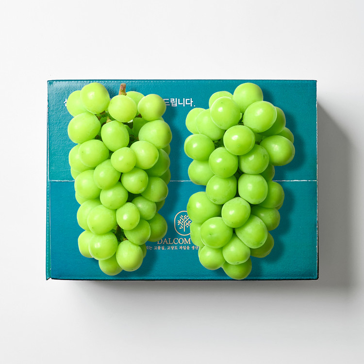 샤인머스켓 1.5kg 2~3입 가정용 : (주)달콤트리