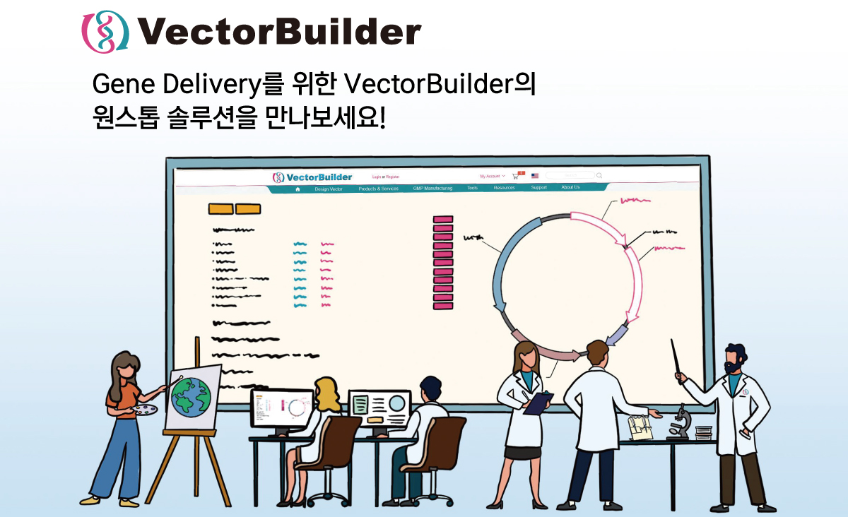 Gene Delivery의 원스톱 솔루션을 제공하는 VectorBuilder를 소개합니다! : VectorBuilder 제품 소개