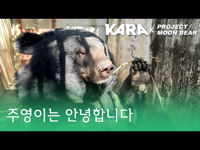 주영이는 안녕합니다 : 곰 보금자리 프로젝트 : Project Moon Bear