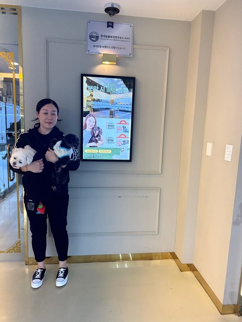 푸들 까망이 애완견성격 반려견성격 소형견크기 중형견크기 미니비숑프리제크기 토이푸들크기 골든리트리버크기 래브라도리트리버크기 닥스훈트크기 도베르만크기 말티치크기 말티폼크기 보더