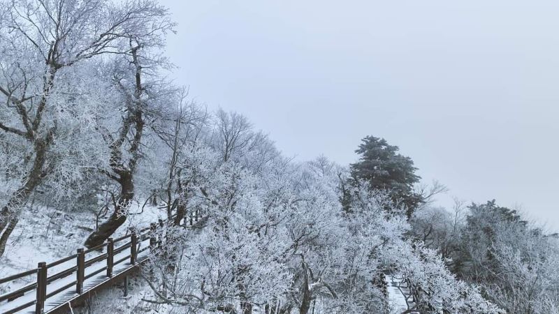 Wishing for Snow : monapark.yongpyong.kr