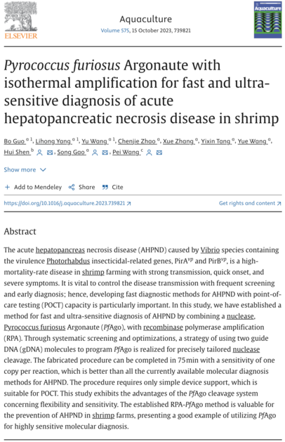 RPA-PfAgo System : Pyrococcus furiosus Argonaute with isothermal ...