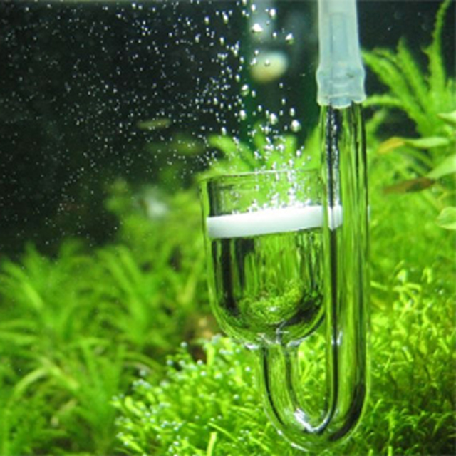 고압이탄 1l 풀 세트 수초 Co2 이탄 수초키우기 쿠아쿠아 수족관 용품 쇼핑몰