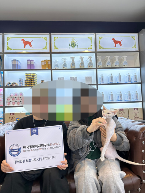 스핑크스 양삐 말티즈크기 말티푸크기 푸들크기 먼치킨크기 랙돌크기 브리티쉬숏헤어크기 스코티쉬폴드크기 러시안블루크기 강아지크기 고양이크기 유기견임시보호 유기묘임시보호 강아지임시