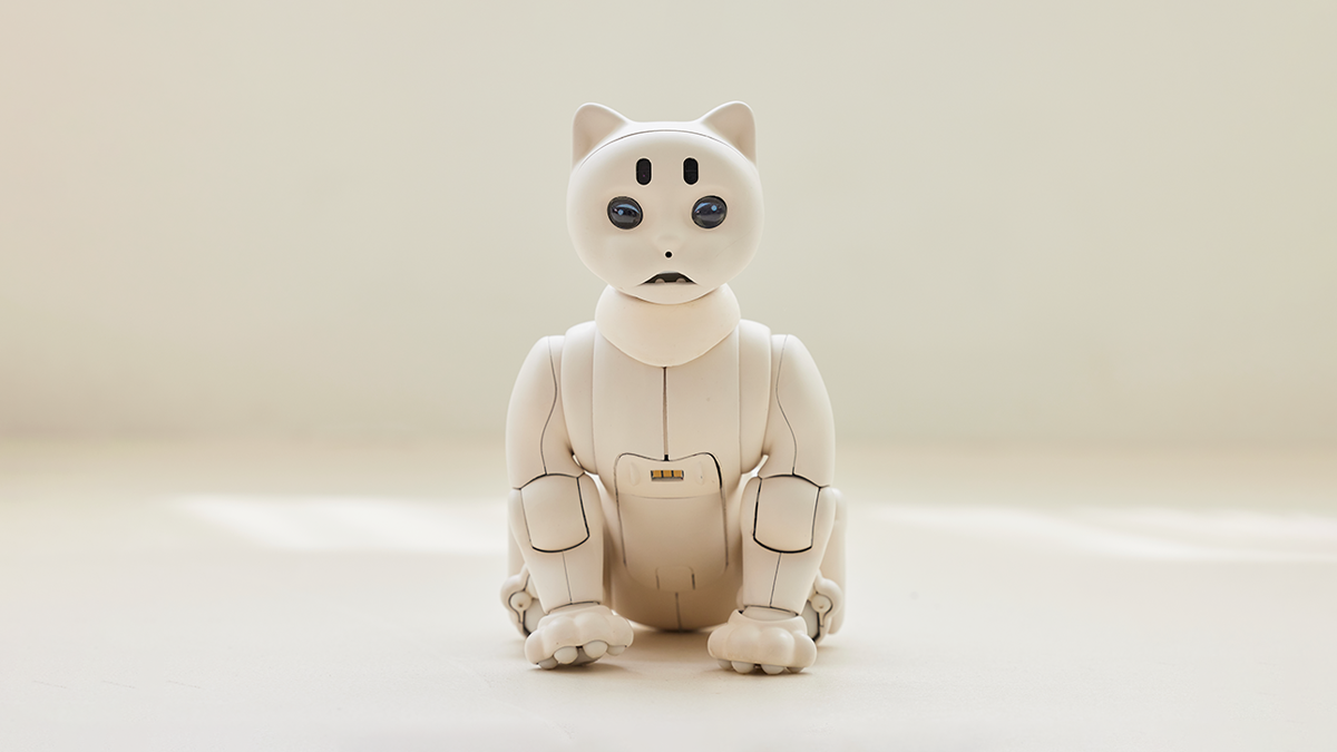 Maicat - 미국 킥스타터 : Project | 세토웍스 Setoworks