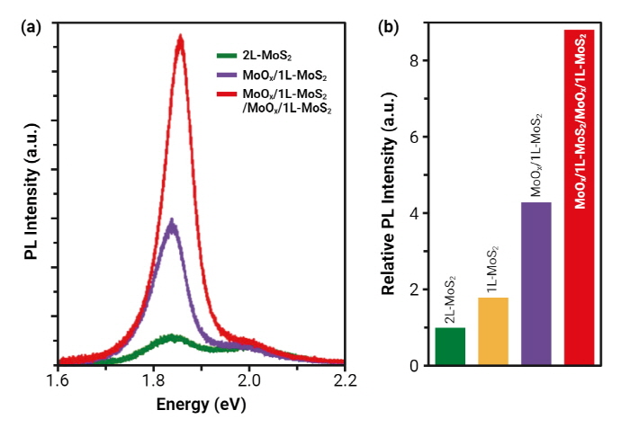 Graphene and TMDs | Plasol
